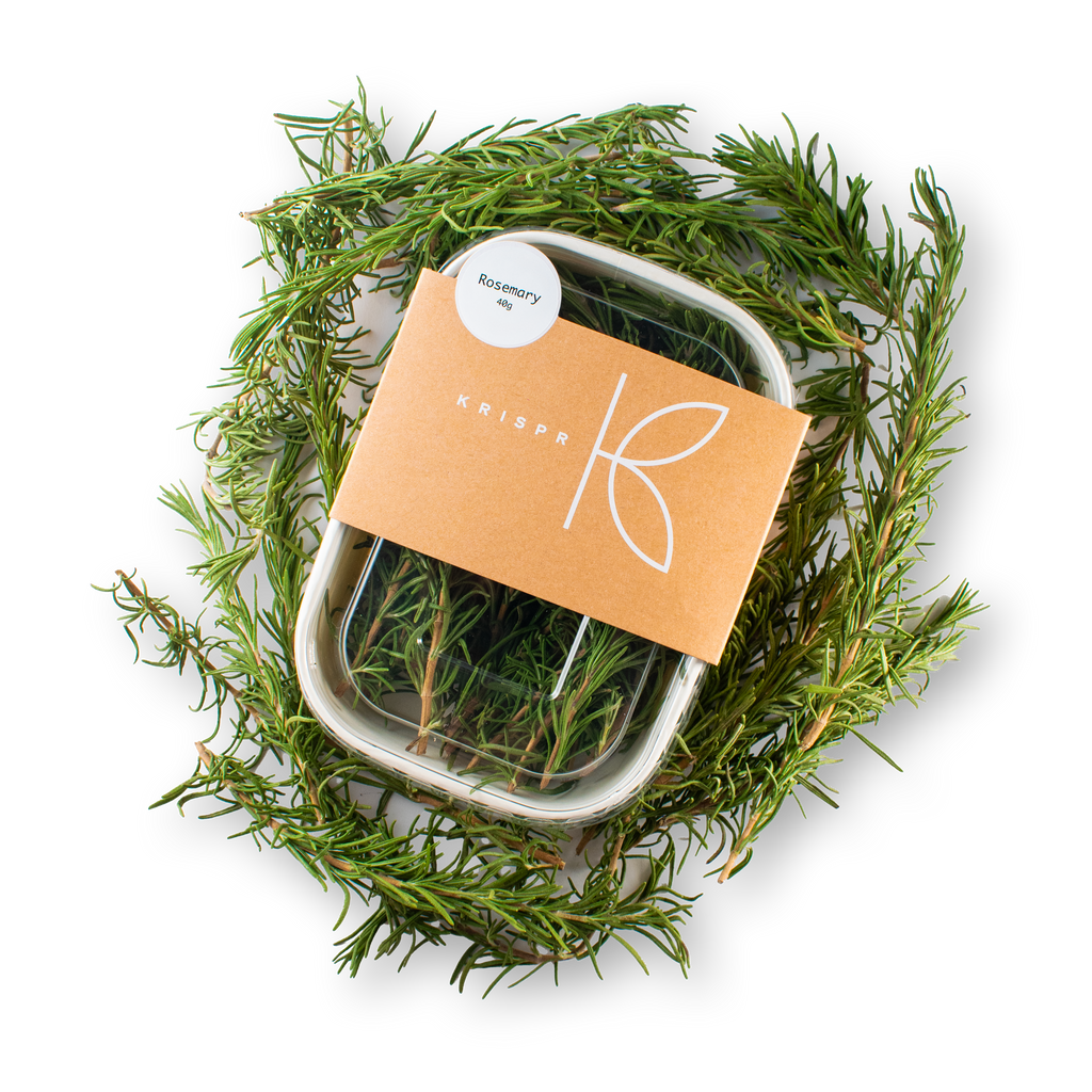 Rosemary, 40g – KRISPR