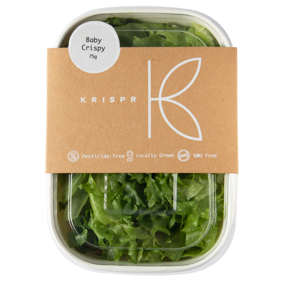 Baby Crispy Lettuce, 75g – KRISPR